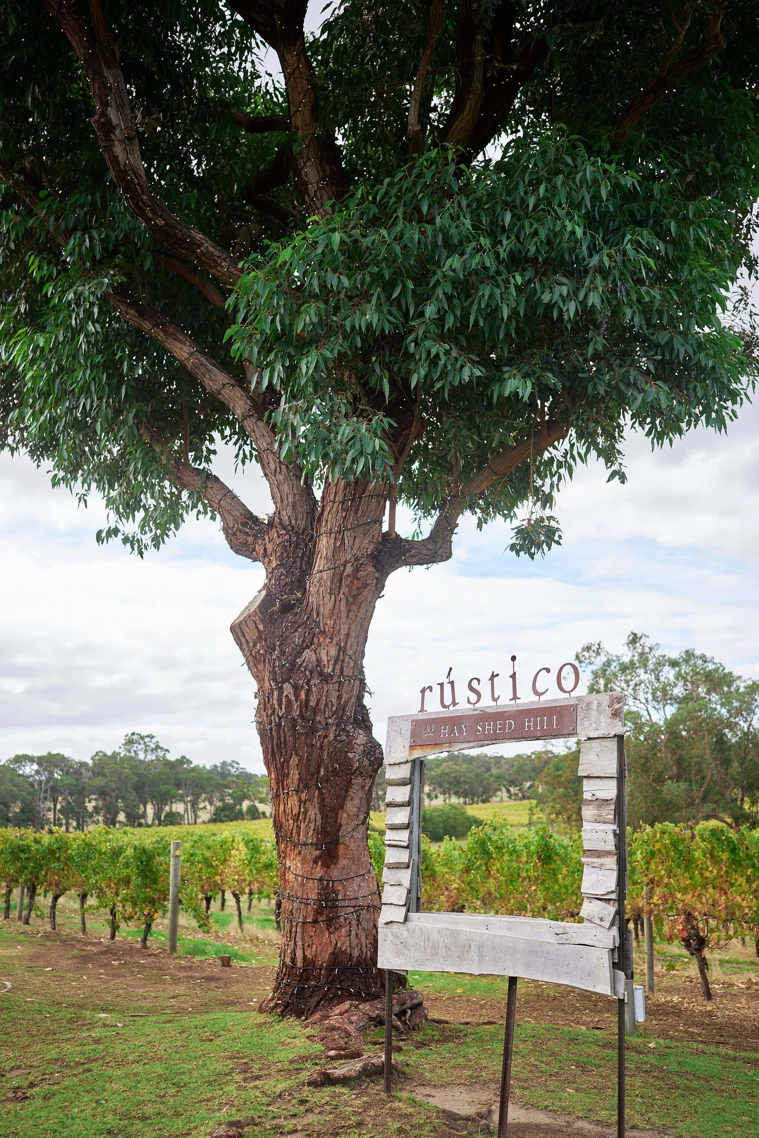 Gallery | Rustico at Hay Shed Hill | Discover Elegant Wine Experiences ...
