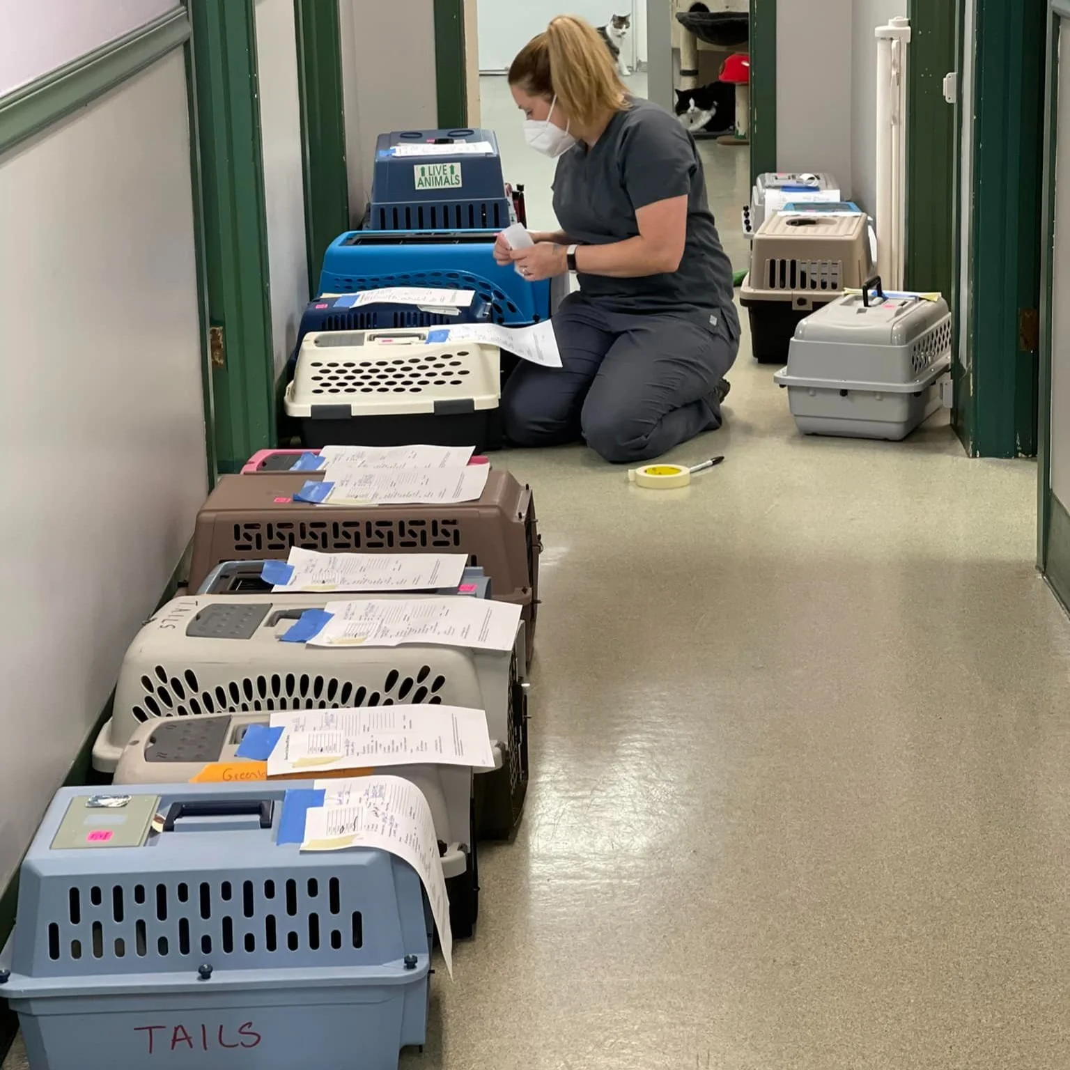 The Alliance in Limiting Strays (TAILS)