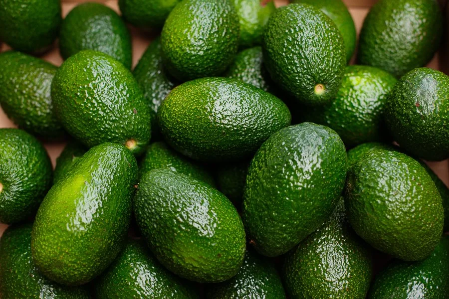 Barham Avocados: A family-run avocado orchard
