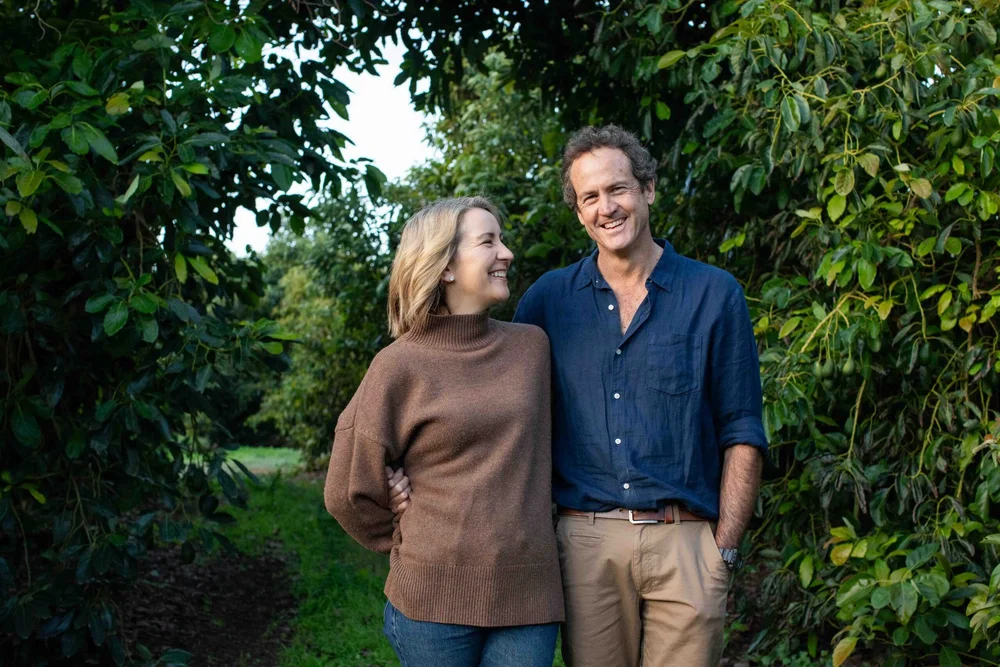 Barham Avocados: A family-run avocado orchard