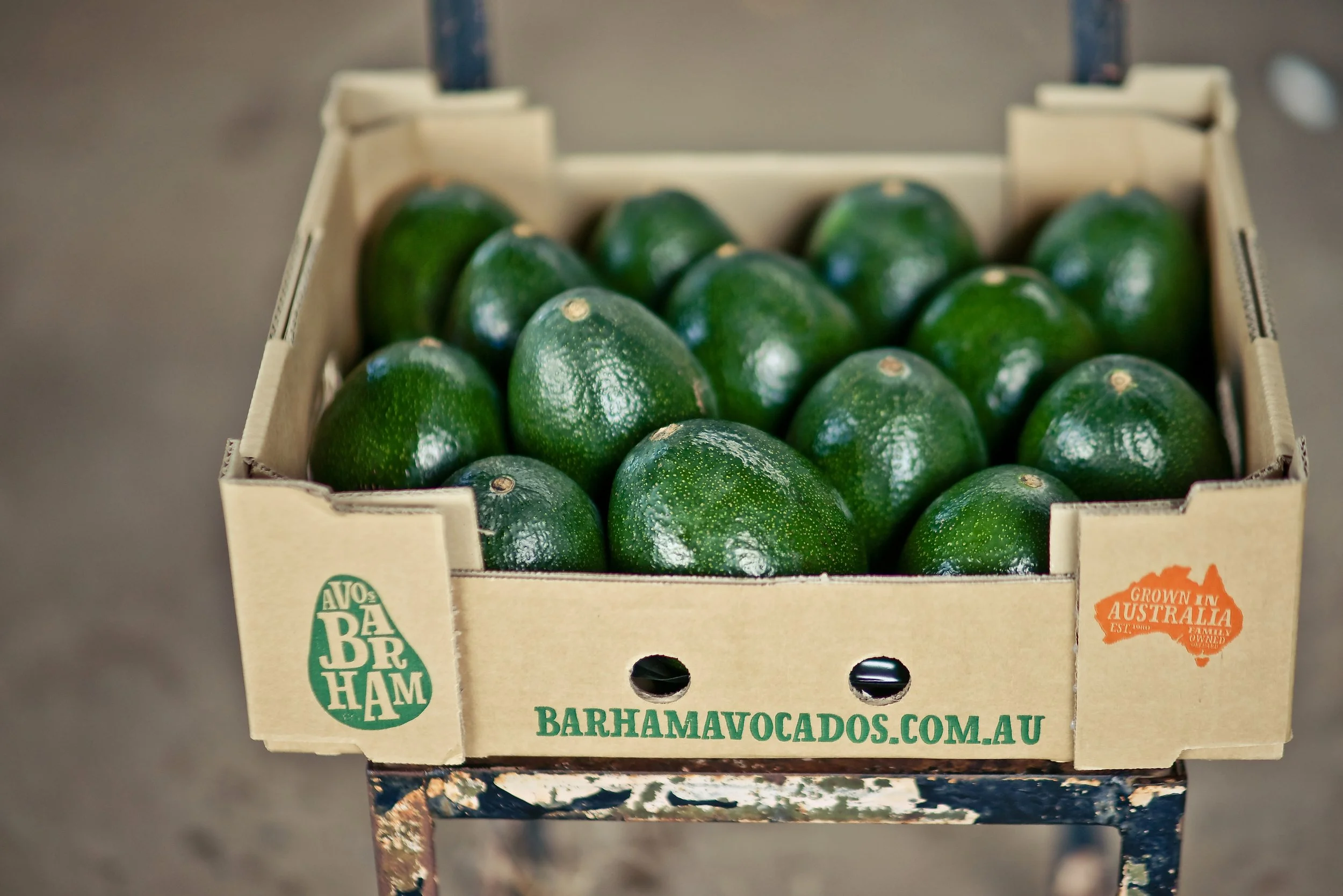 Barham Avocados: A family-run avocado orchard