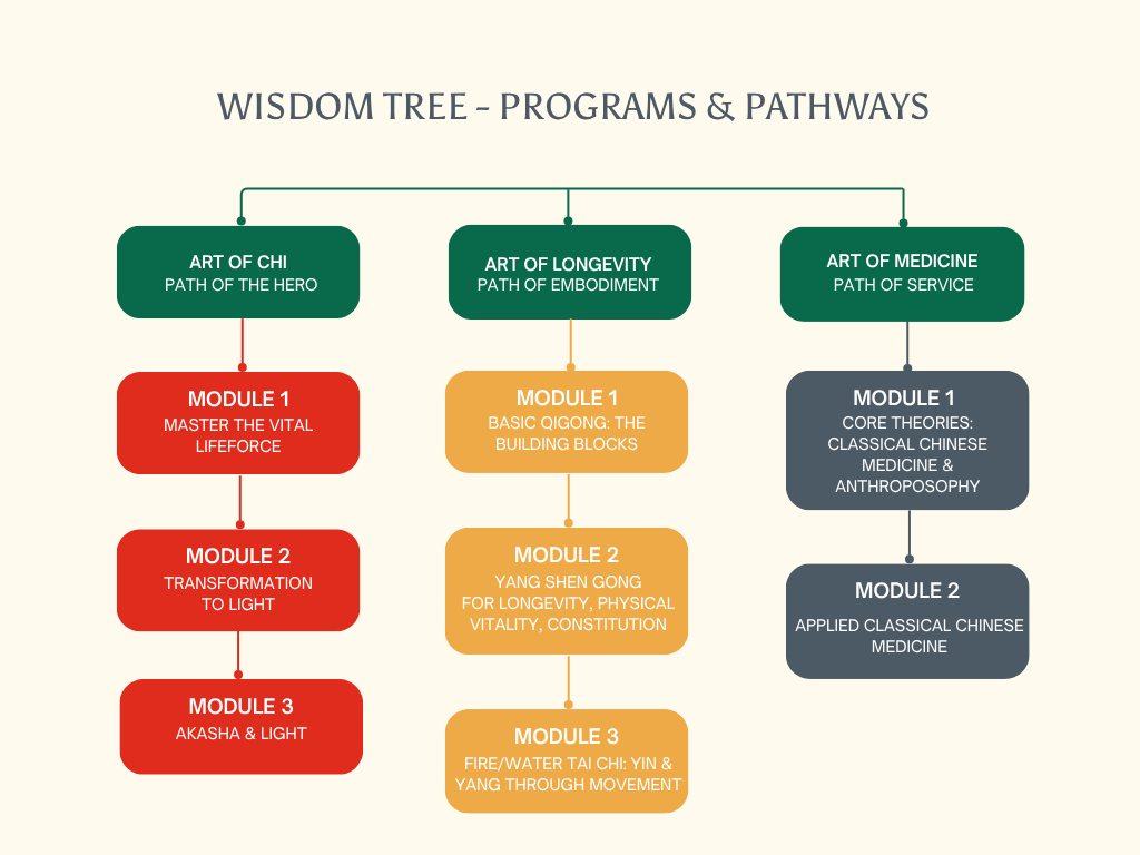 Program Pillars | Enhance Your Life Today—Join Us — WISDOM TREE INSTITUTE