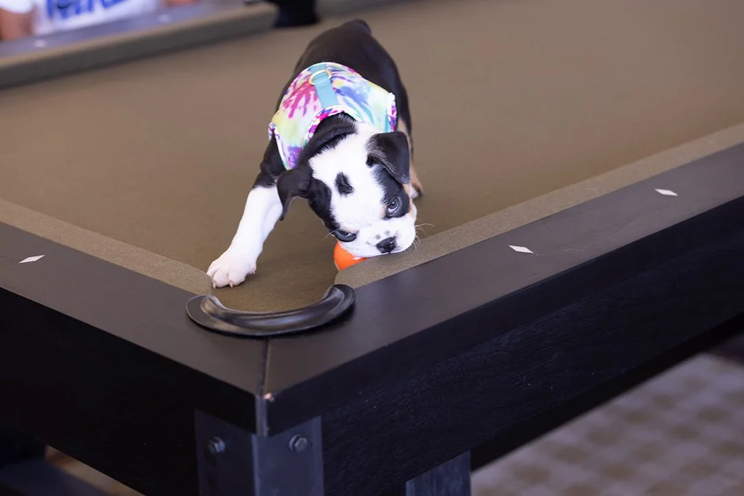 Product Page - Volunteer Billiards and Games | Volunteer Billiards and ...