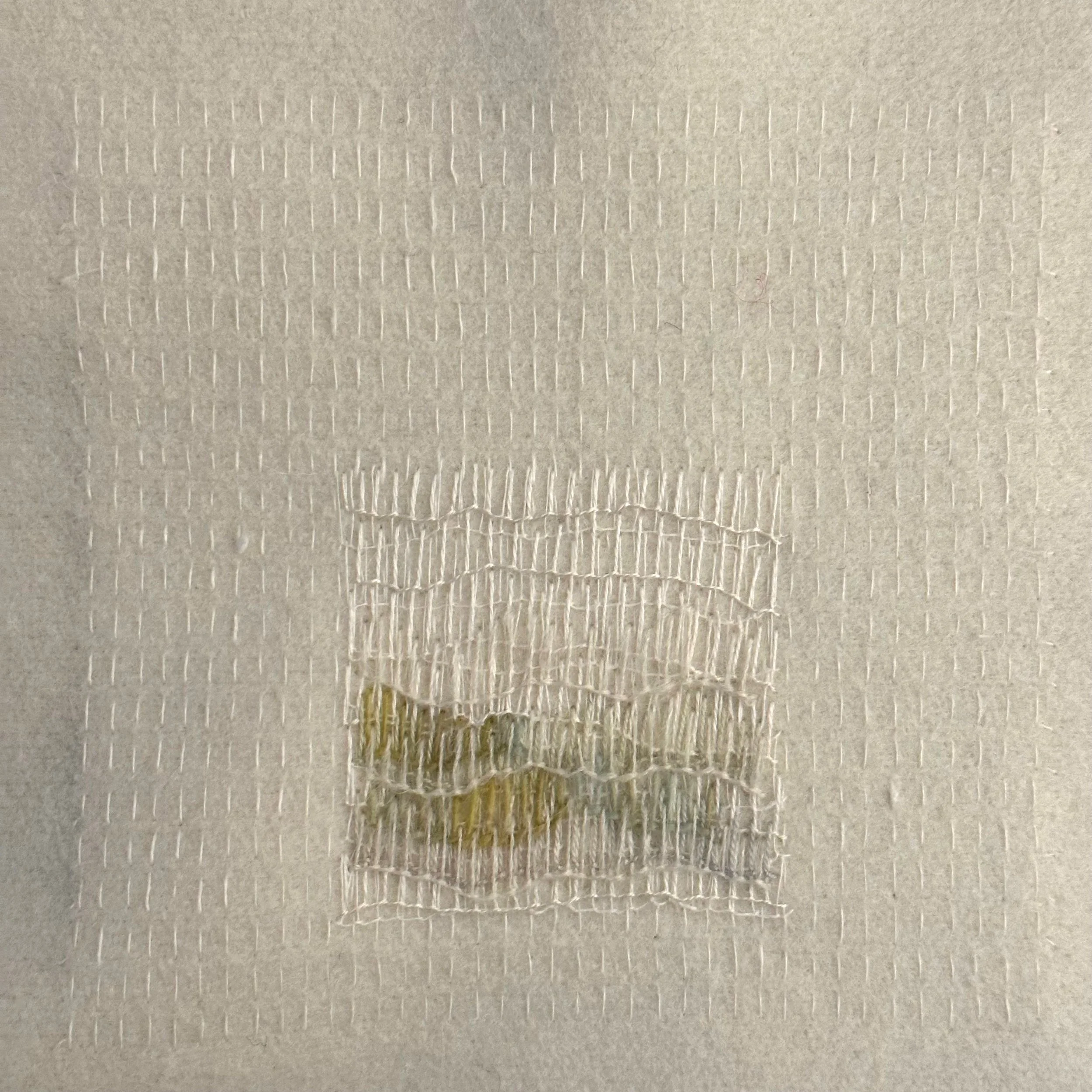 Lichen — Penelope Brook, Artist