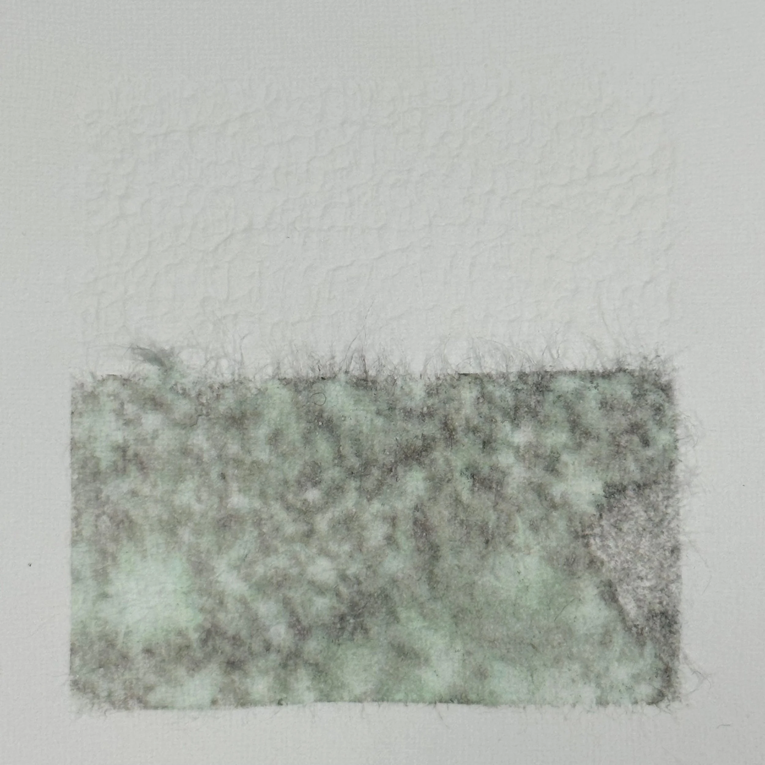 Lichen — Penelope Brook, Artist