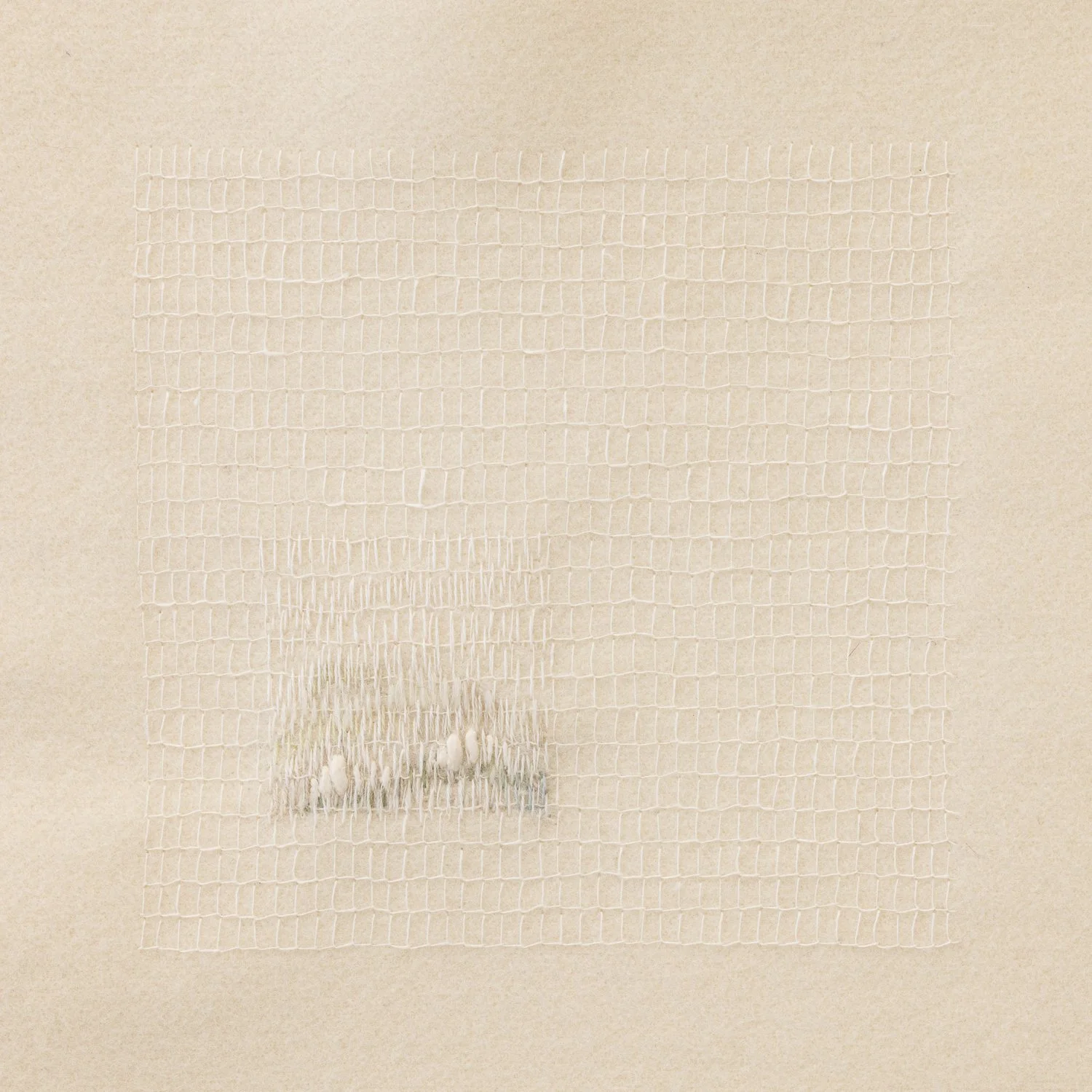 Gallery — Penelope Brook, Artist