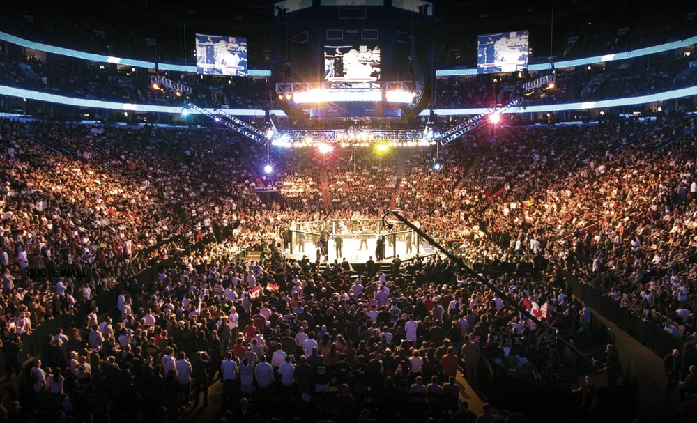 Franchise — UFC Gym UK
