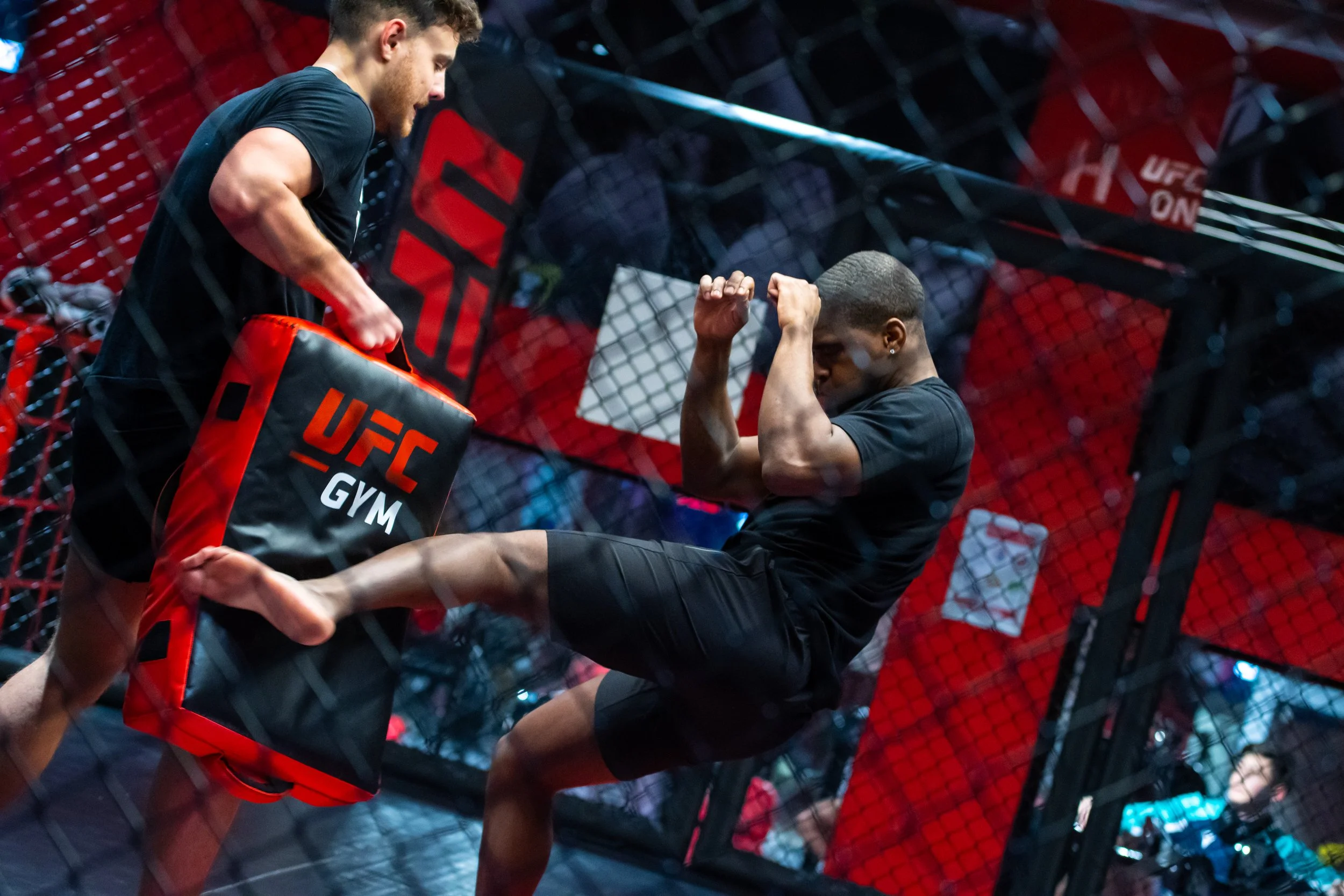 Ufc Gym Garden Walk _ Gyms Are Now open at UFC FIT at Anaheim ...