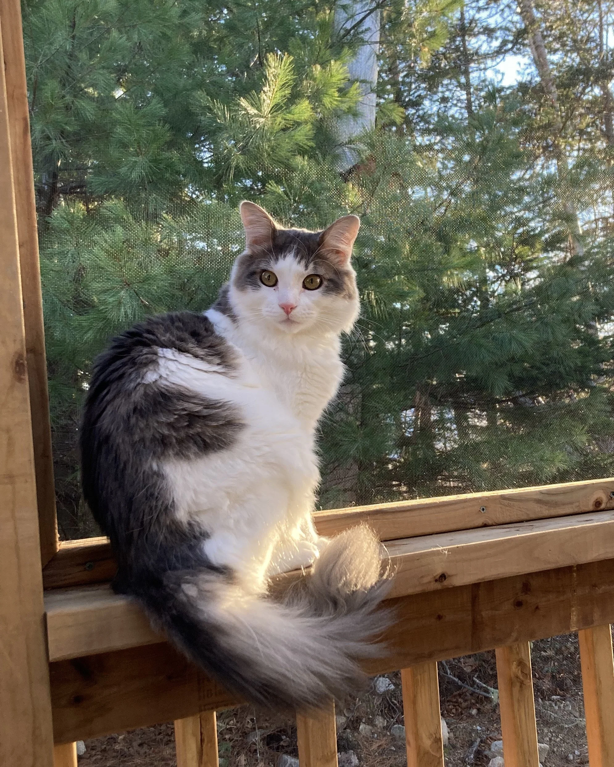 About Us — Passion Works Digital