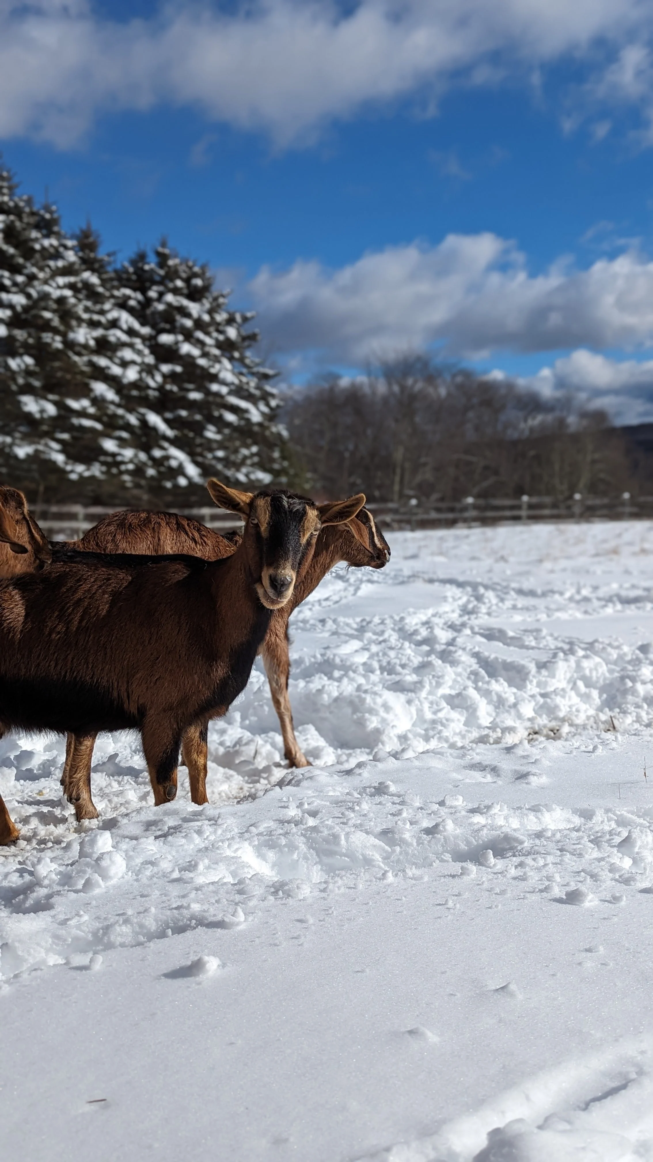 Hemlock Neversink | Wellness Hotel and Spa in Catskills