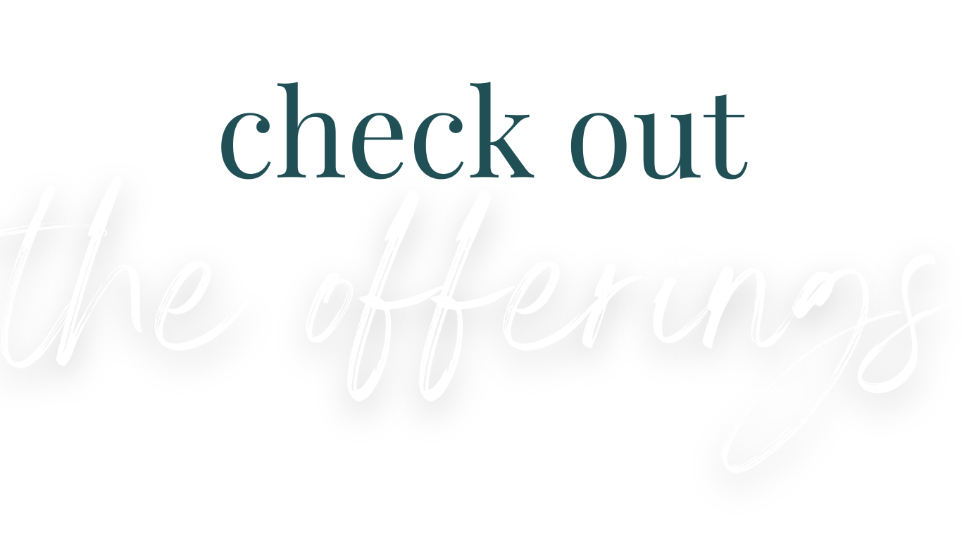 Services — MLS Business Consulting