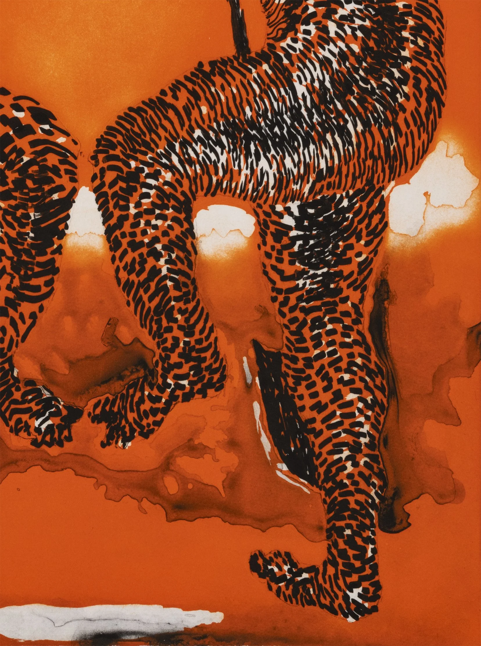 Broken Skies 1 Inferno Didier William