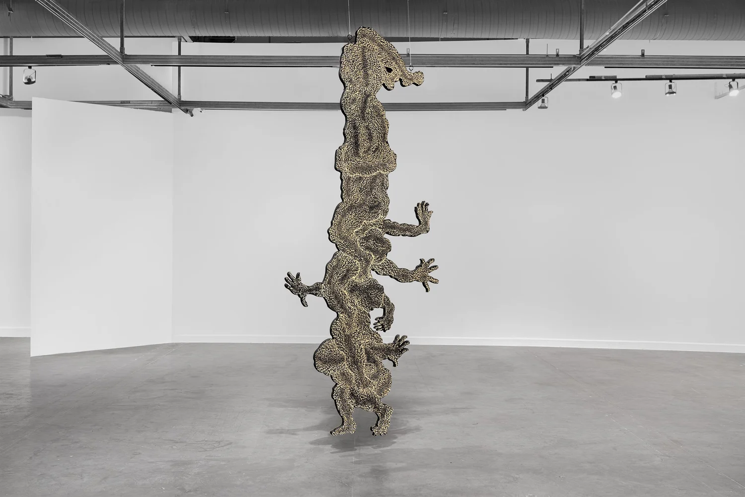 Special Projects — Didier William