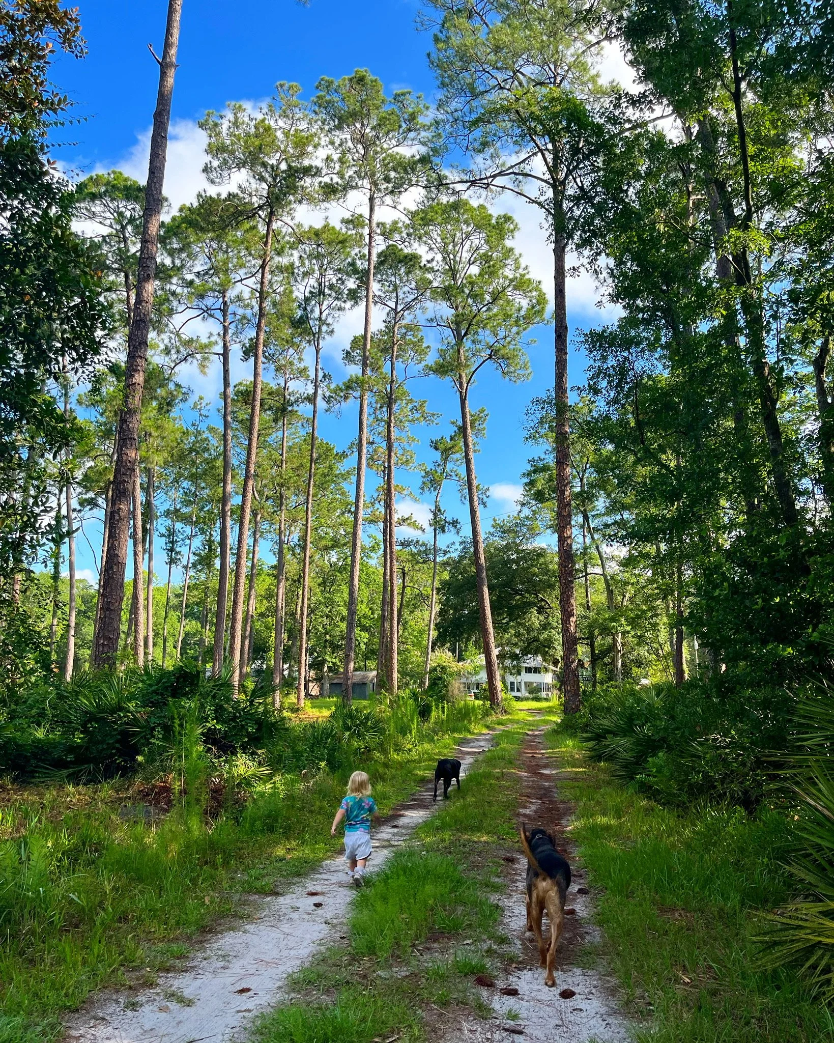 About — Geiger Pioneer Farm