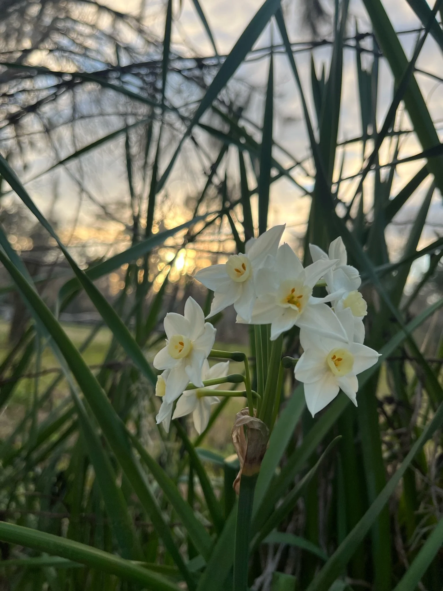 About | Explore & Experience Now — Geiger Pioneer Farm