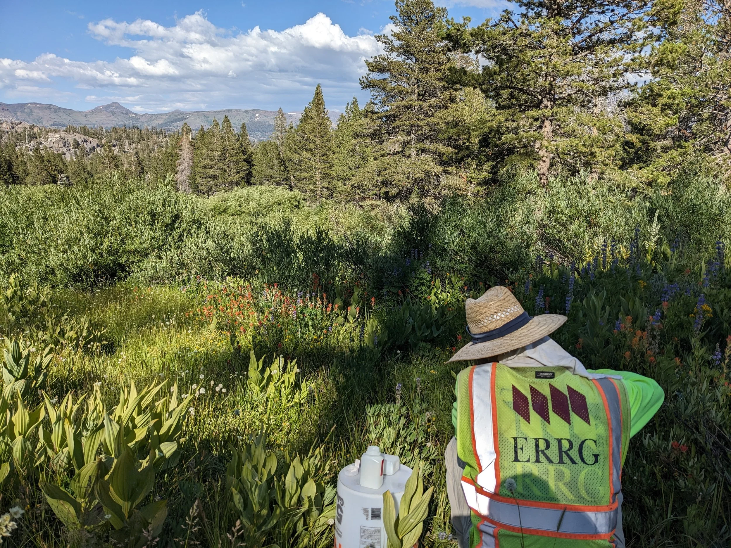 Qualifications — ERRG