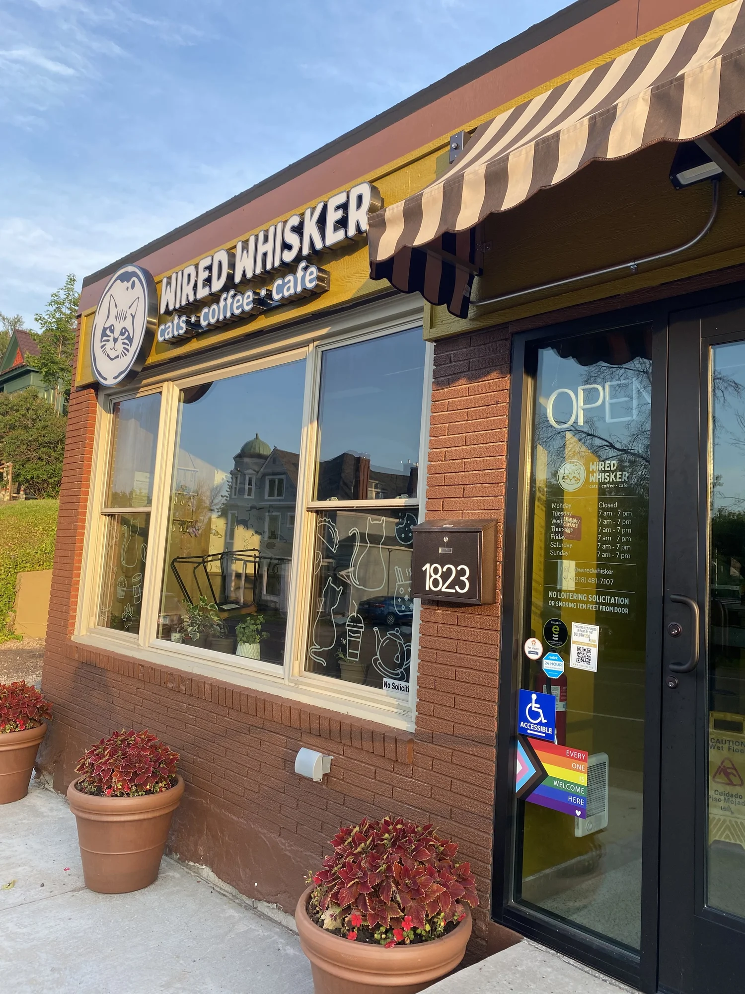 The Cafe — Wired Whisker | Cat Cafe