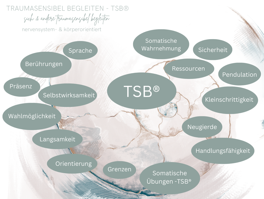 Ausbildung TSB® — TRAUMASENSIBEL BEGLEITEN - TSB®