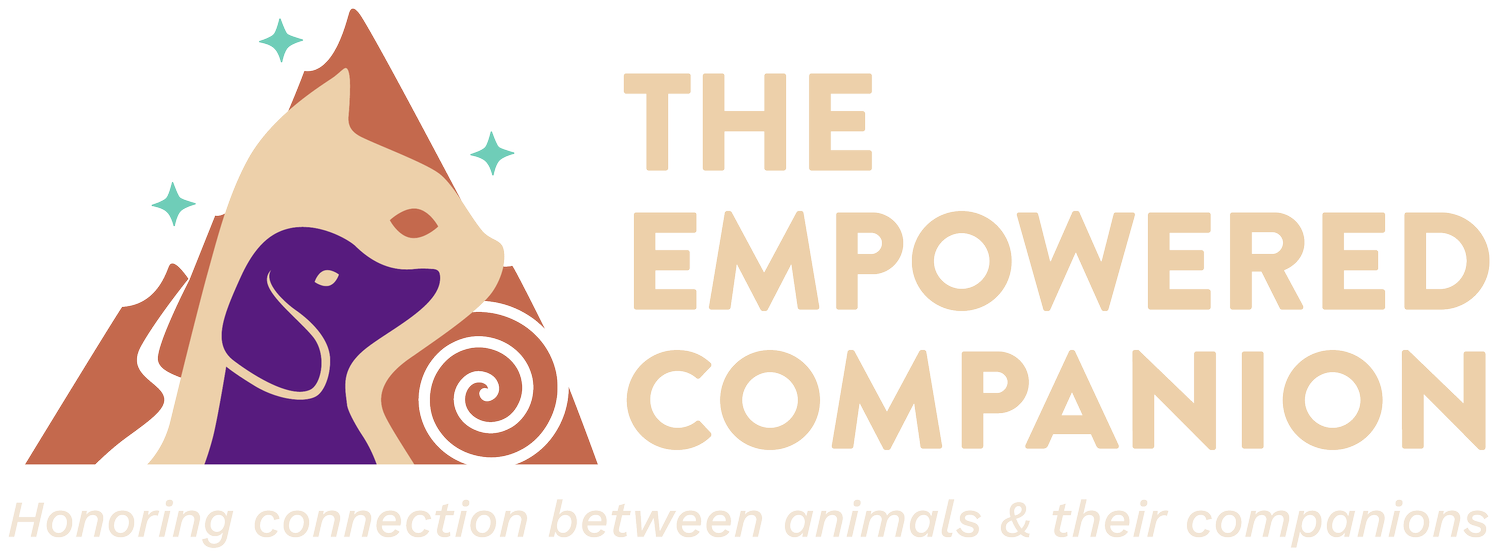 Compassionate In-Home Pet Sitting in Englewood & South Metro Denver ...