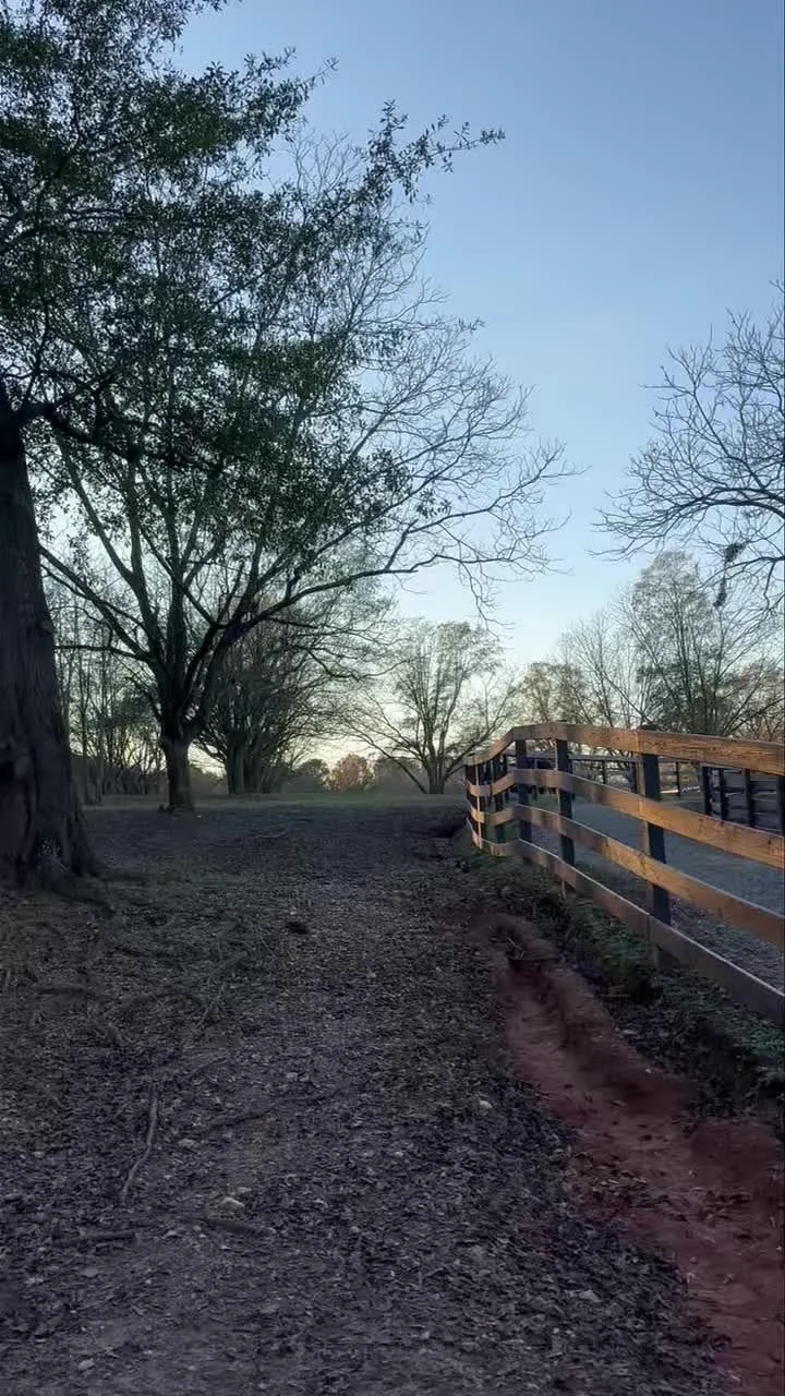 Changing Hearts Farm Sanctuary