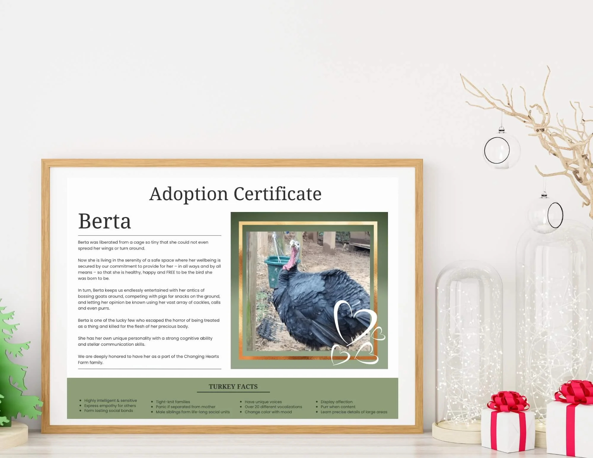 Adopt a Turkey — Changing Hearts Farm Sanctuary