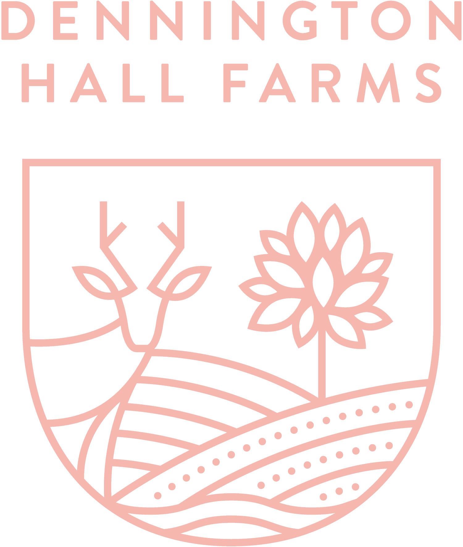 About Us — Dennington Hall Farms