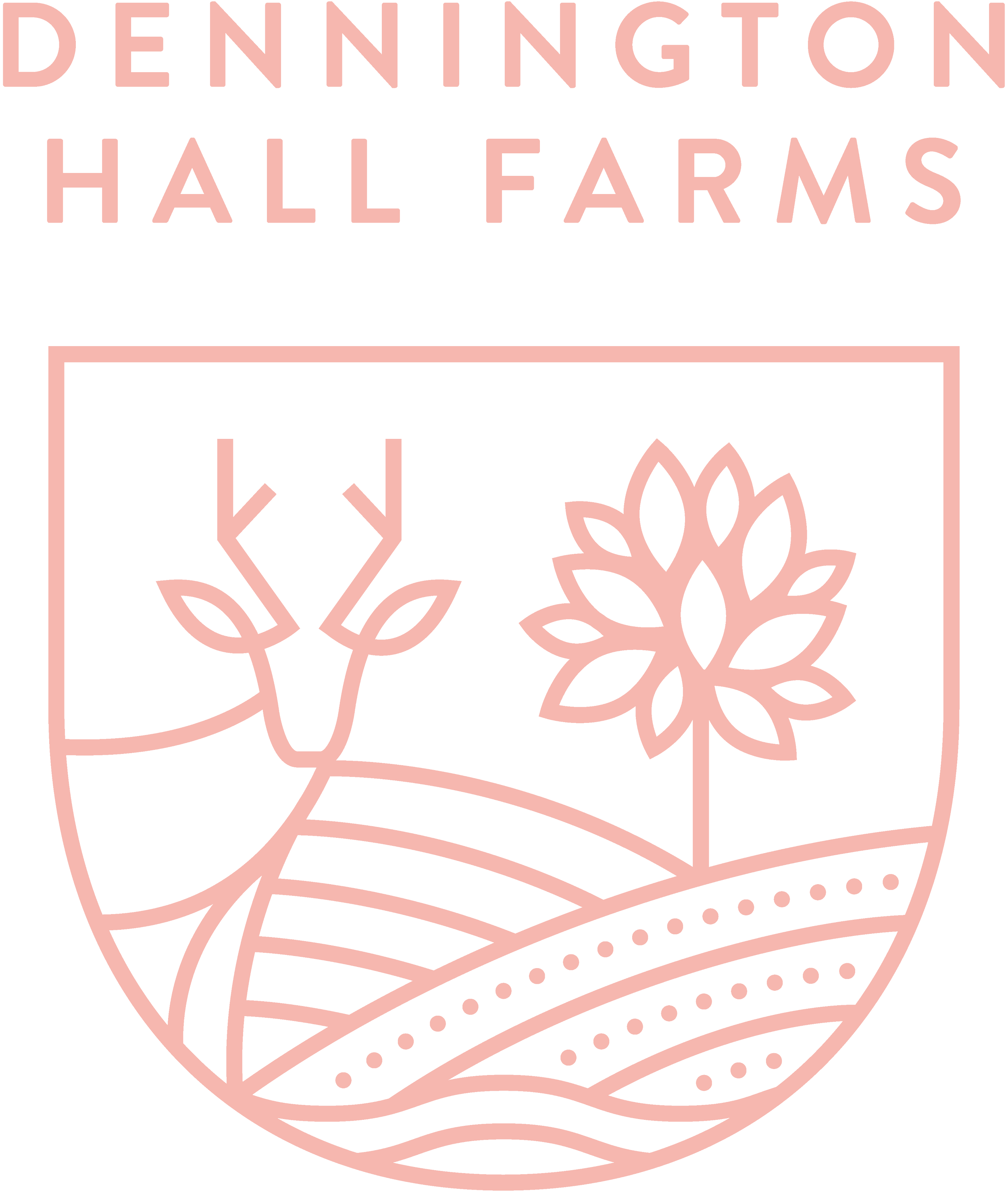 About Us — Dennington Hall Farms