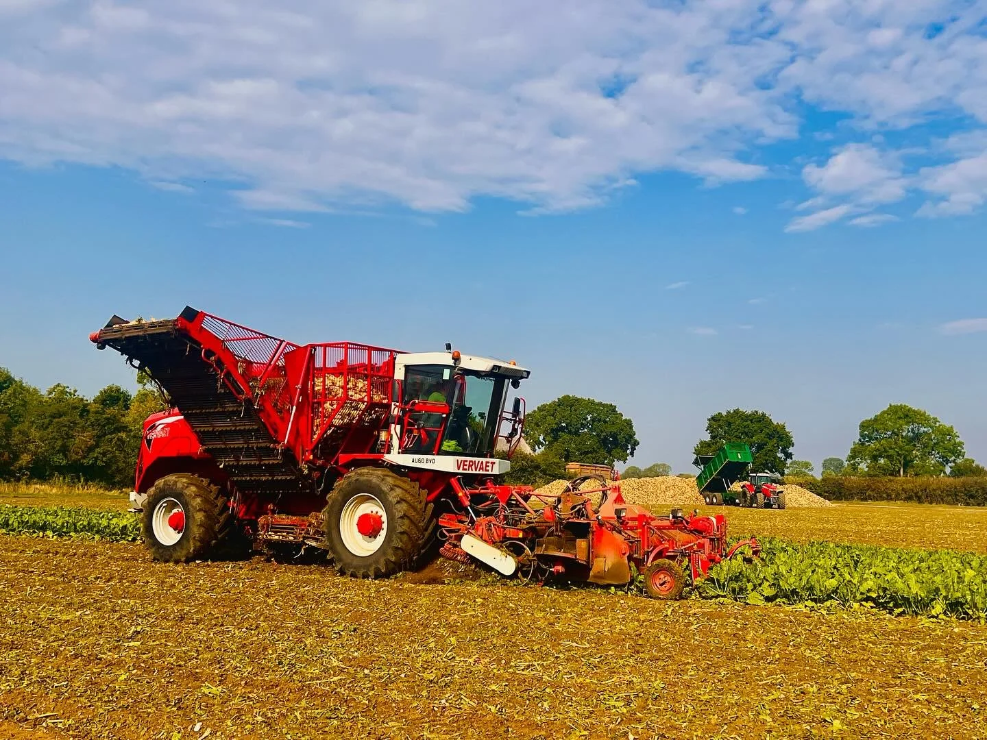 Dennington Hall Farms