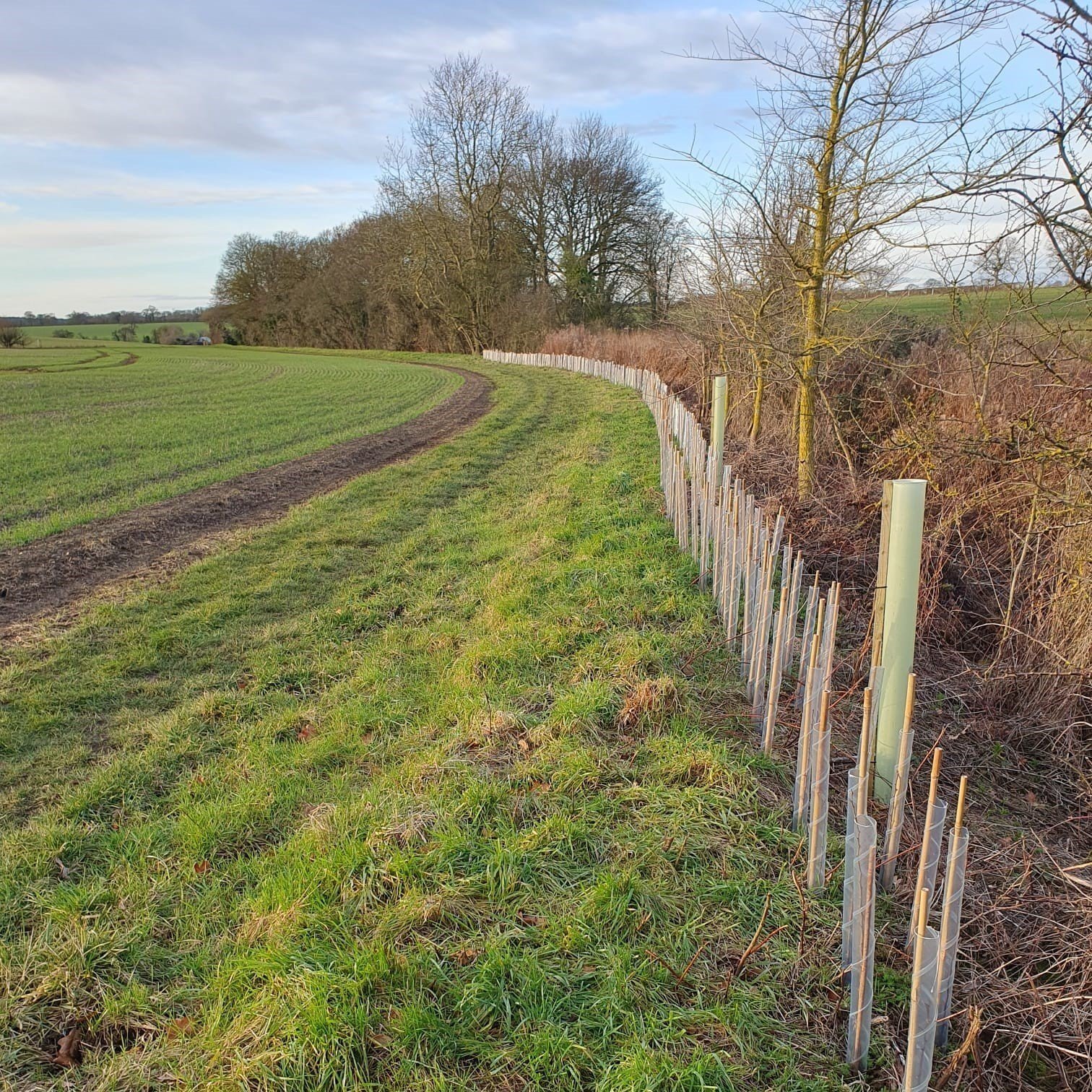 Dennington News April-June 2023 — Dennington Hall Farms