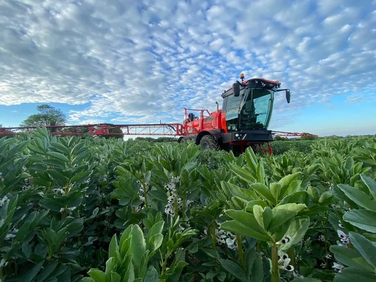 Farming & Food — Dennington Hall Farms