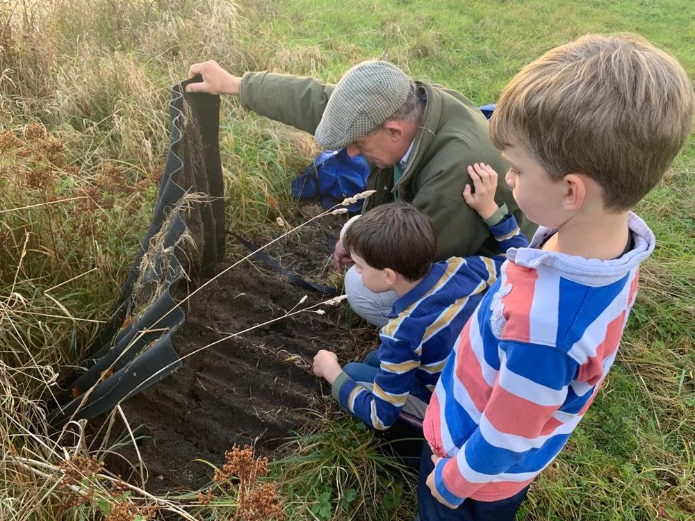 About Us — Dennington Hall Farms