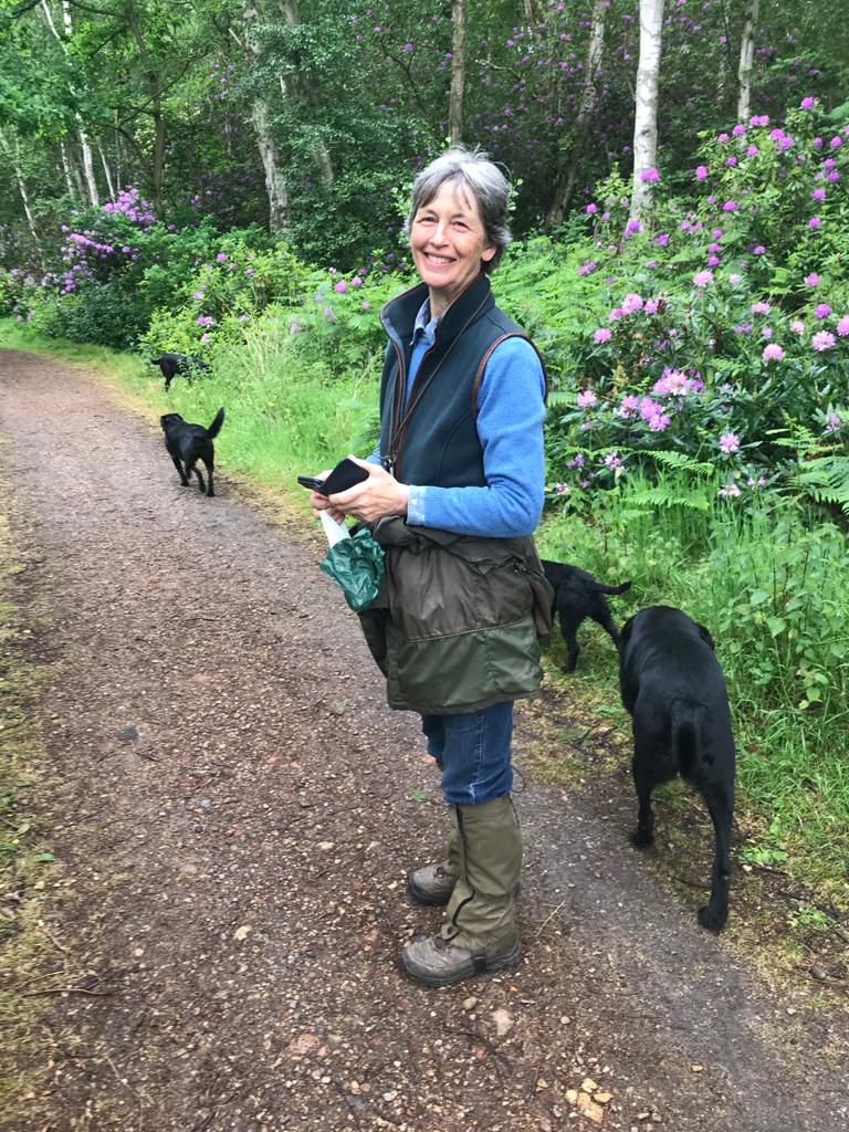 About Us — Dennington Hall Farms