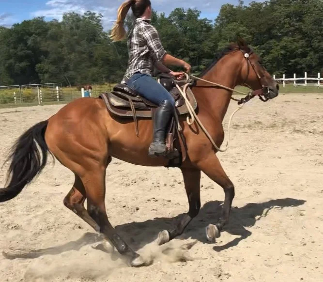 Mac — Mountain View Ranch