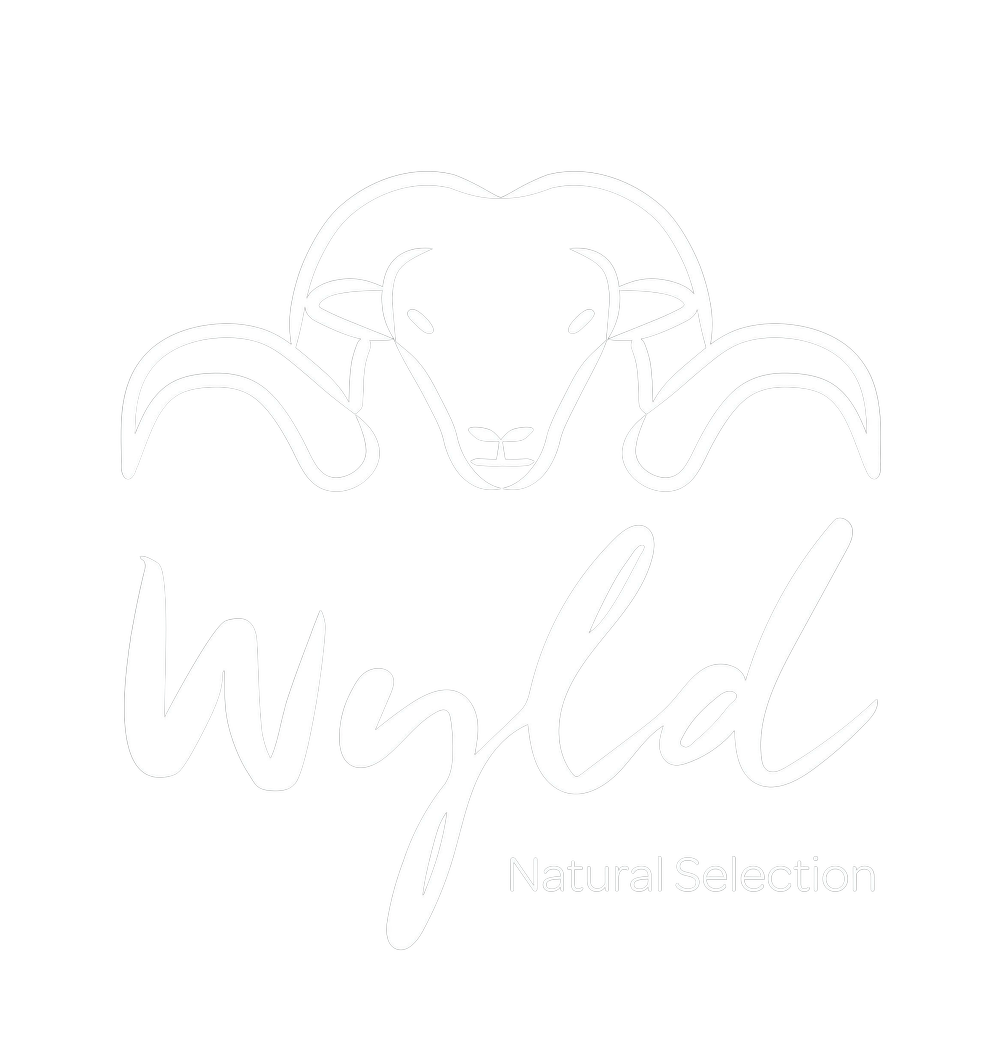 Wild Merino Cosywear by Wyld - 100% Made in New Zealand