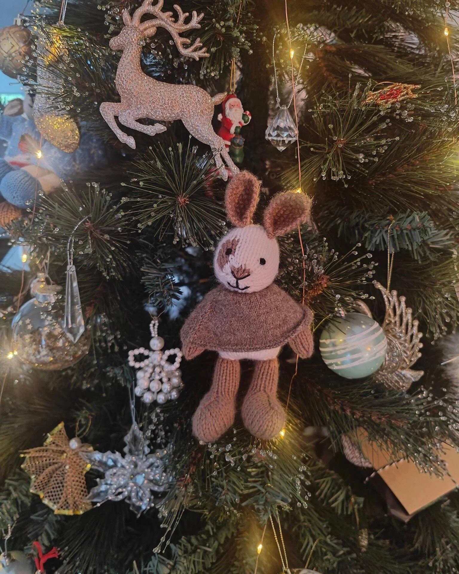 Wild Merino Cosywear by Wyld - 100% Made in New Zealand