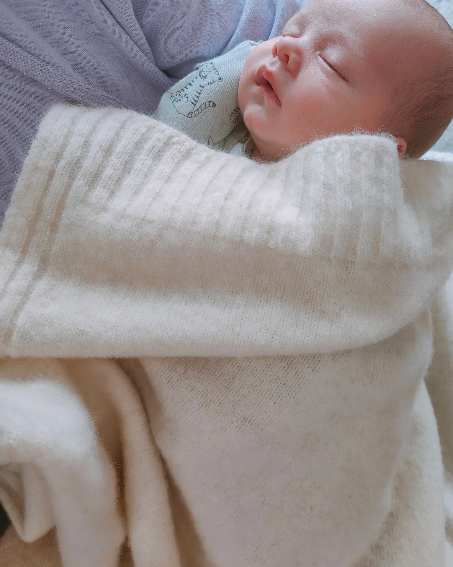 Wild Merino Cosywear by Wyld - 100% Made in New Zealand