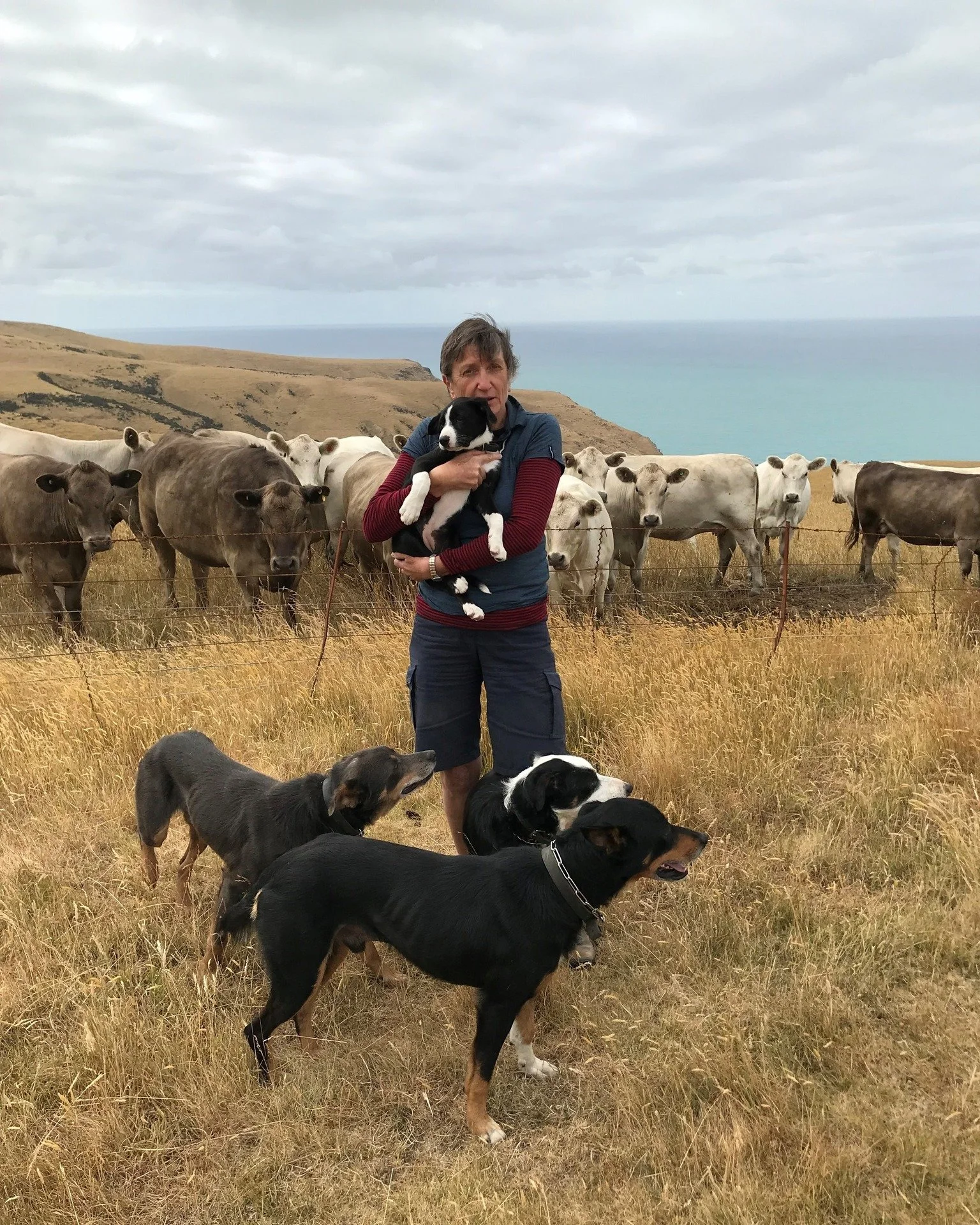 Wild Merino Cosywear by Wyld - 100% Made in New Zealand