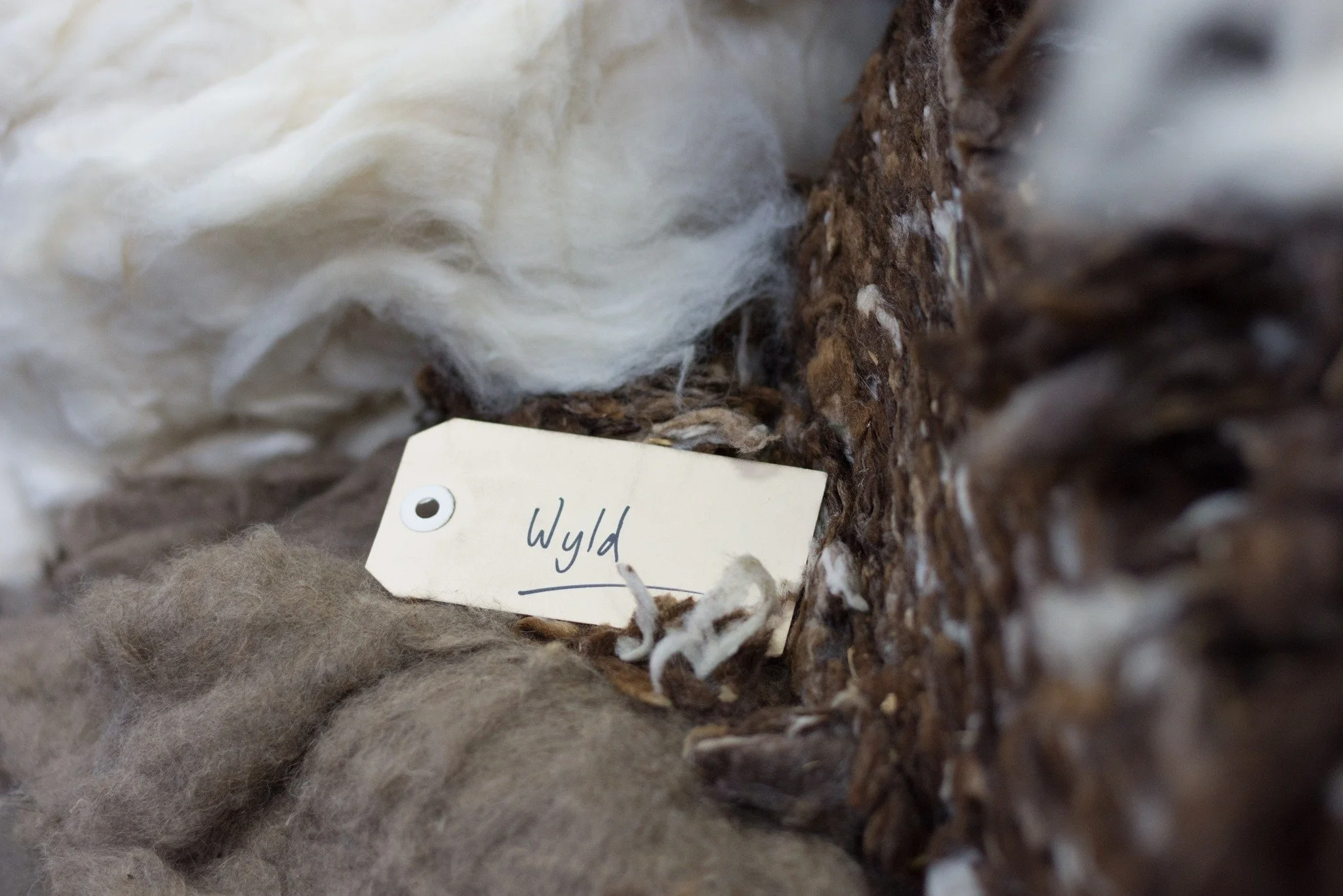 Wild Merino Cosywear by Wyld - 100% Made in New Zealand