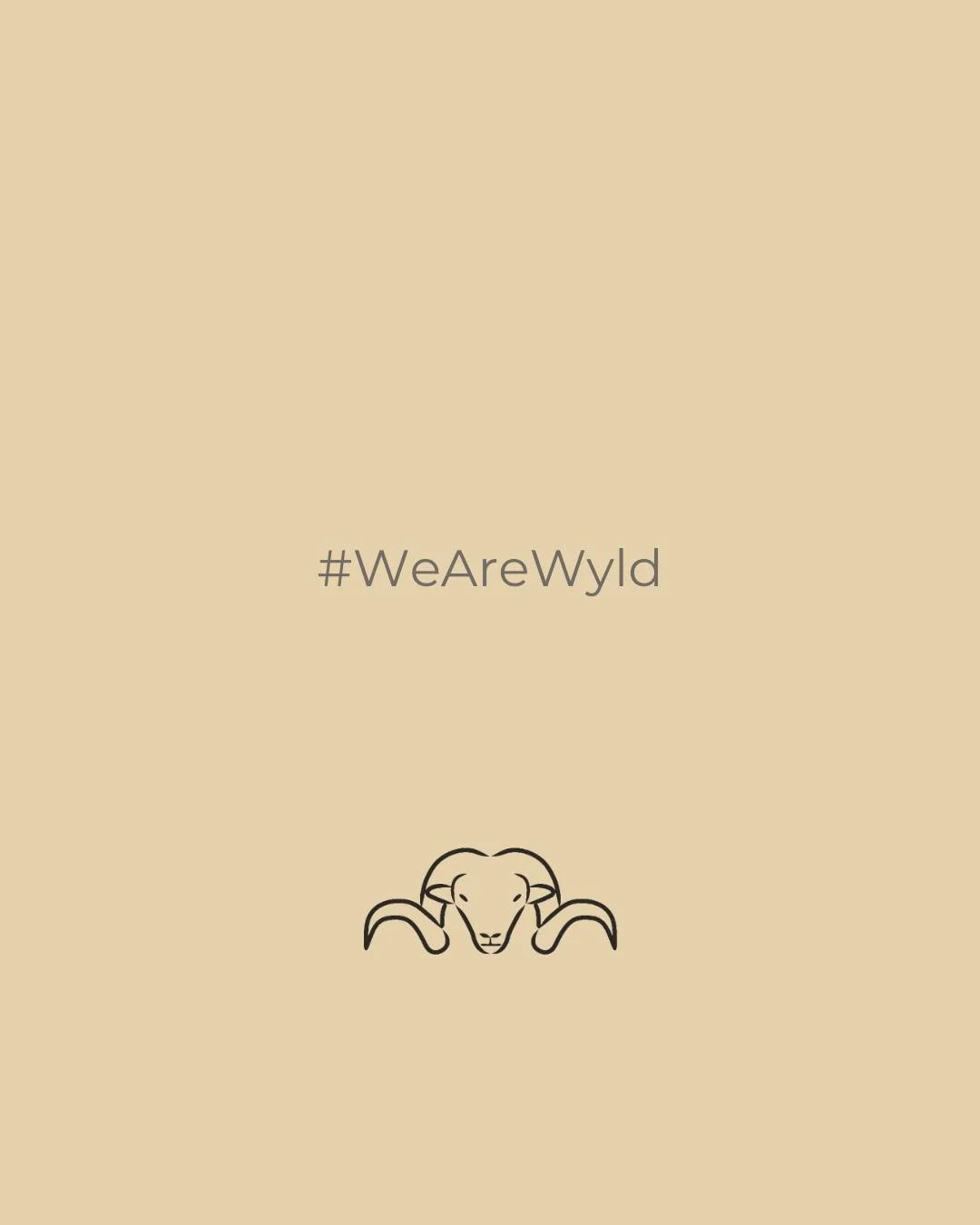 Wild Merino Cosywear by Wyld - 100% Made in New Zealand
