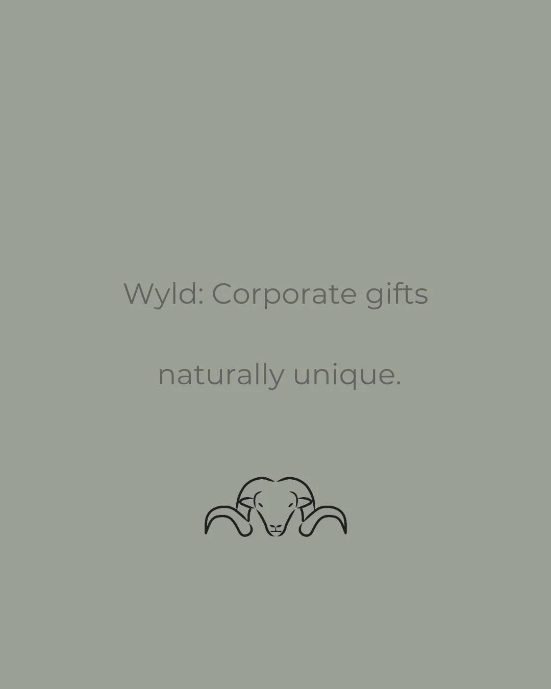 Wild Merino Cosywear by Wyld - 100% Made in New Zealand