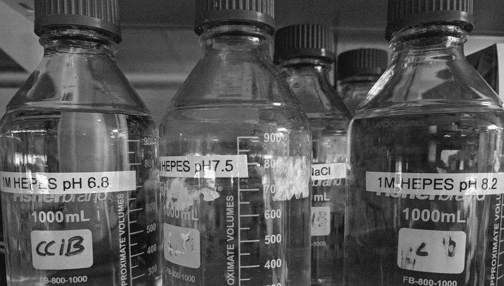 The Strecker Laboratory