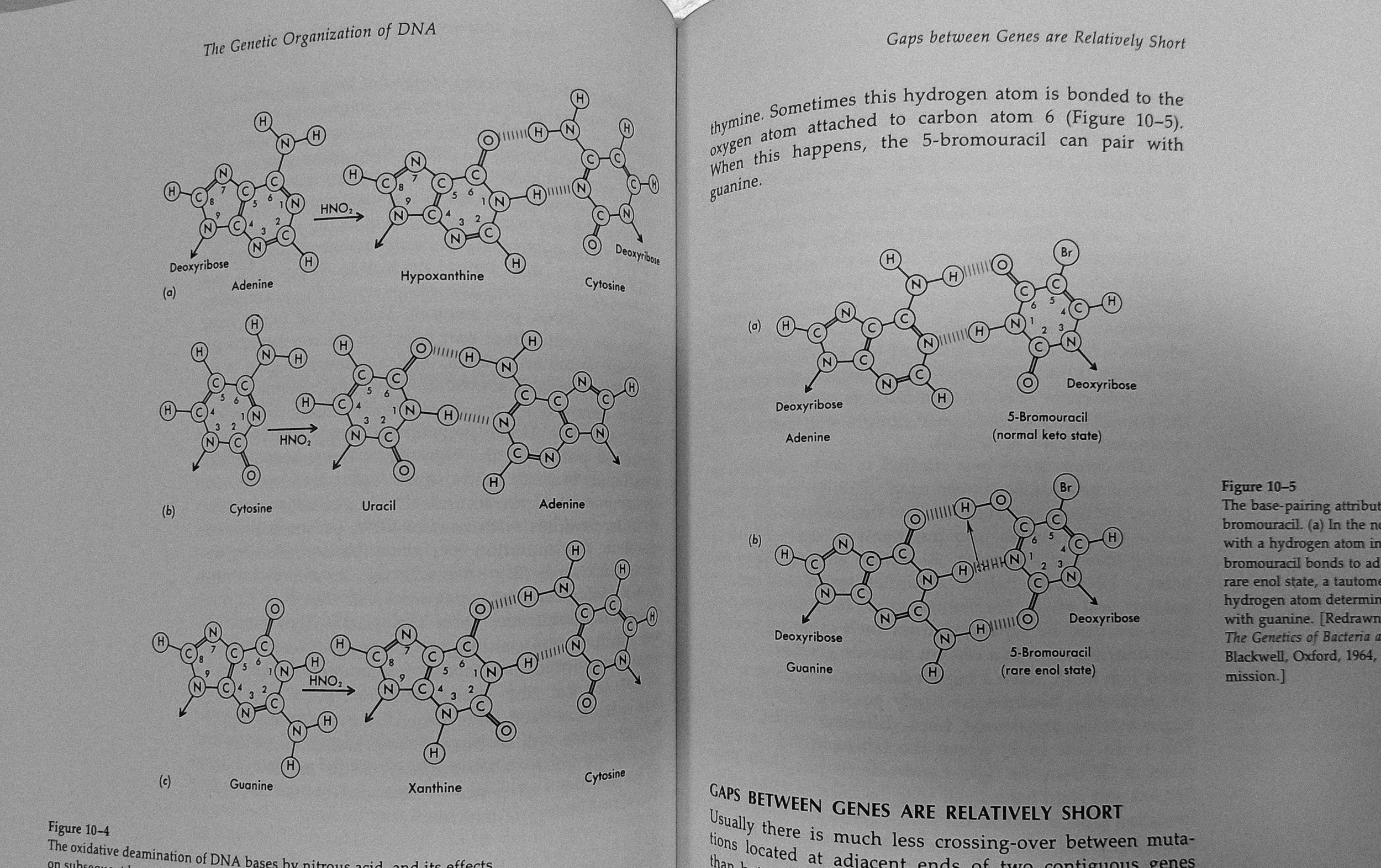 The Strecker Laboratory