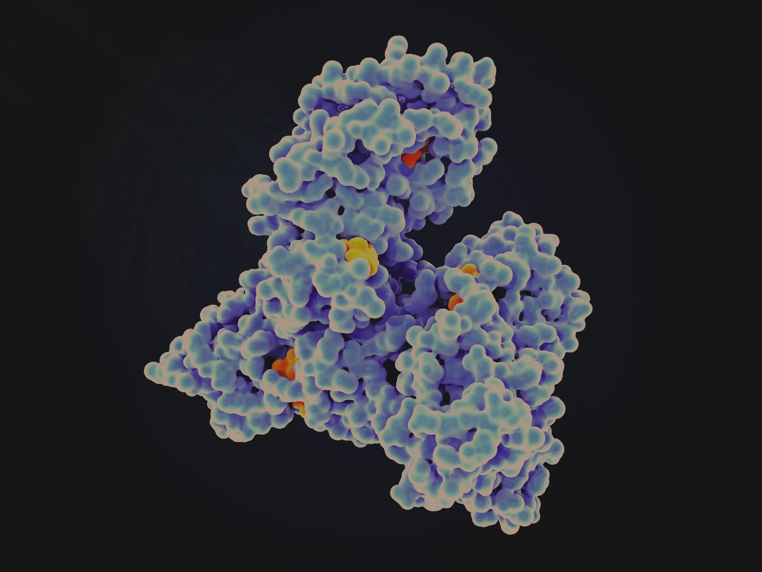 RNA Polymerase — INOFEA AG