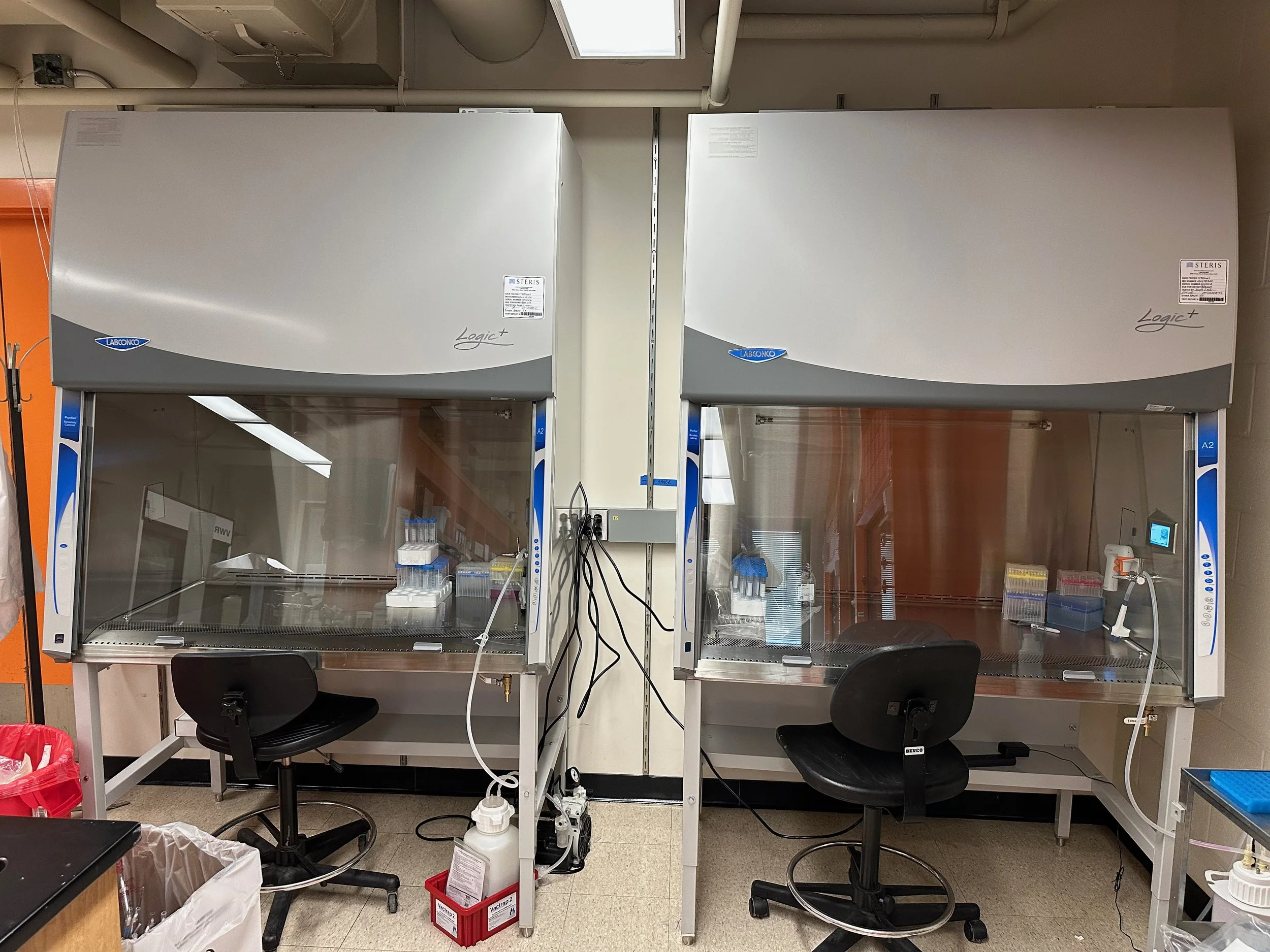 Meng Wang Lab at Cornell University — Wang Lab