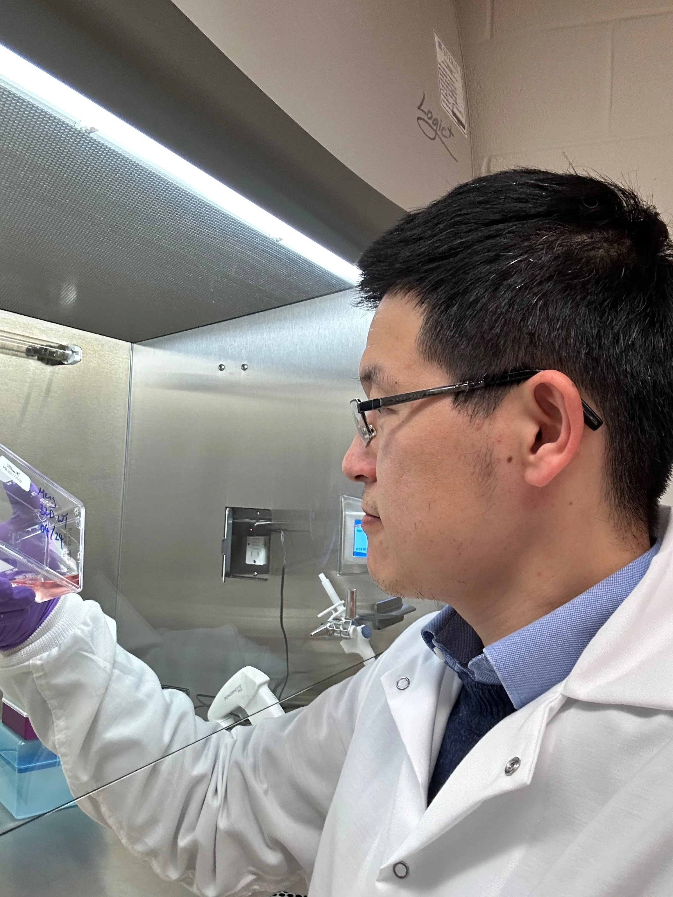 Meng Wang — Wang Lab