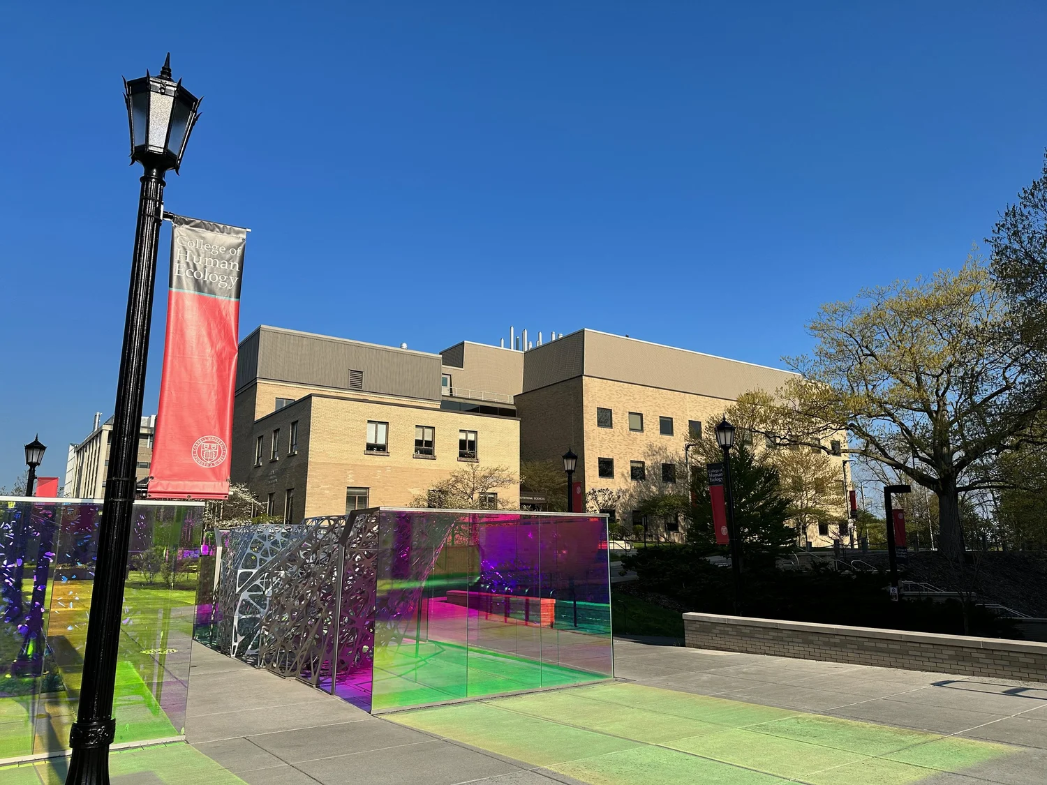 DNA damage, cancer, aging research — Wang Lab