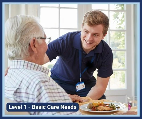 level 1 home care package