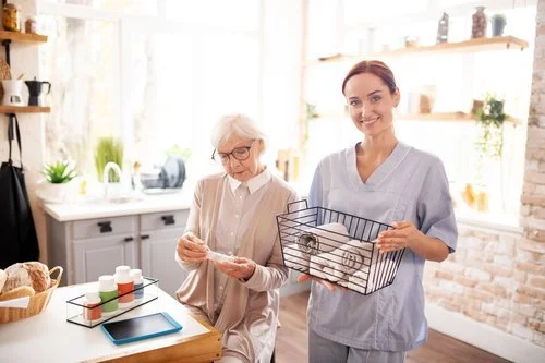 Domestic Assistance for supporting seniors living at home