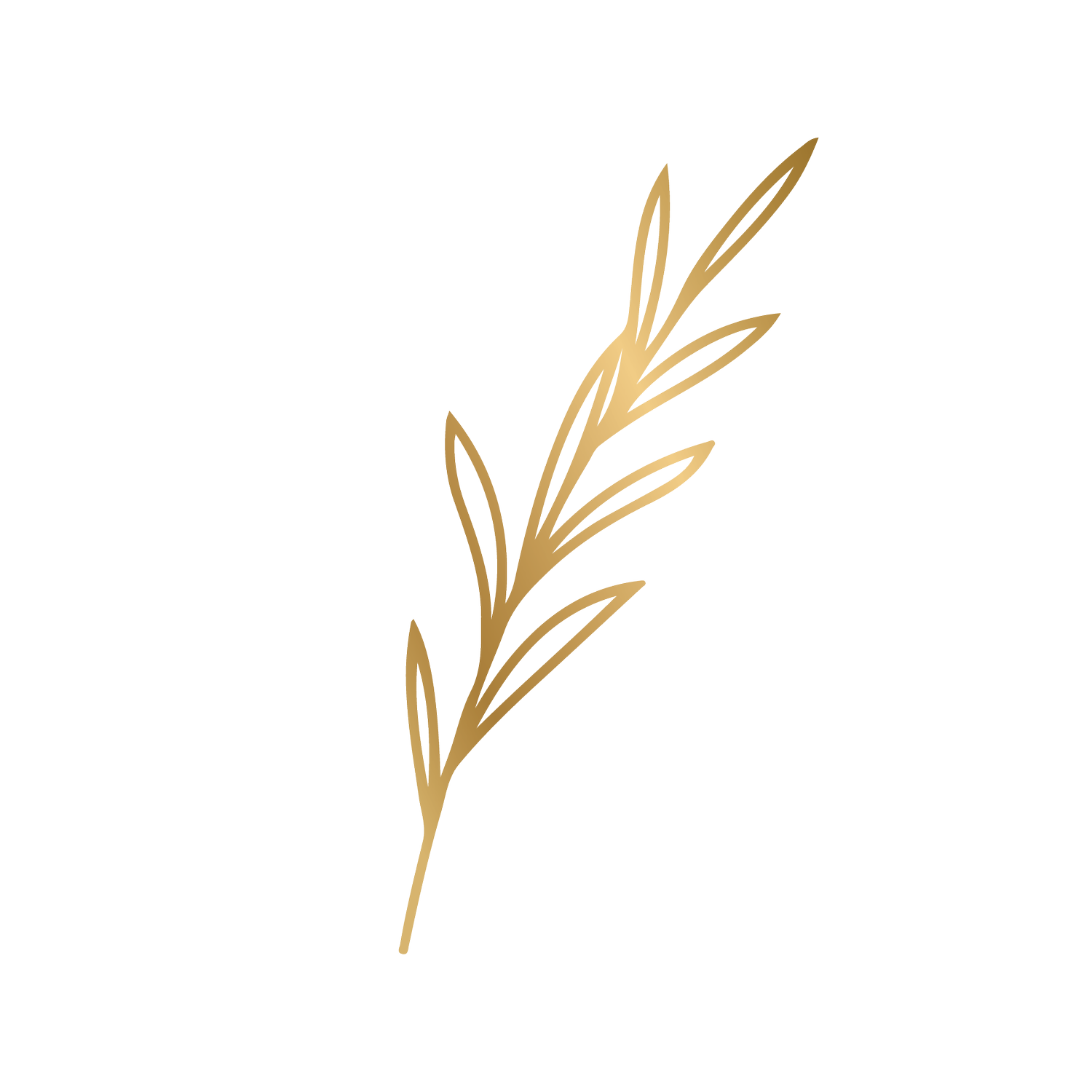 Michelle Engel Psychology | Holistic Therapy for Women Brisbane