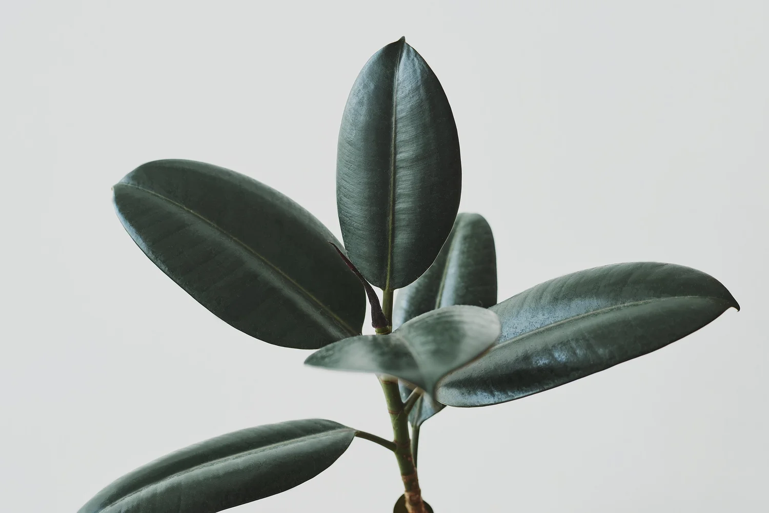 About Michelle Engel Clinical Psychologist Brisbane — Michelle Engel ...